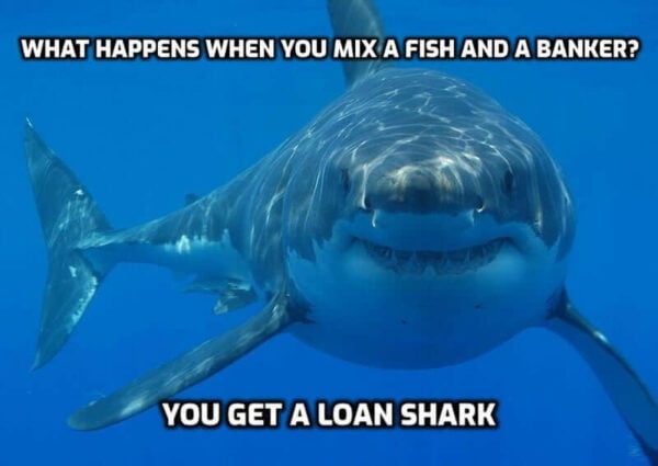150+ Clever & Funny Fish Puns (The Ultimate List)