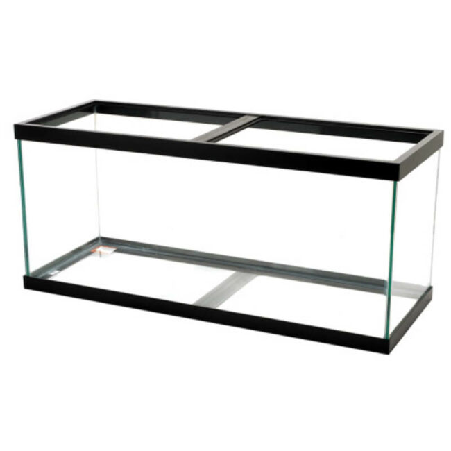 75 Gallon Fish Tanks: Weight, Size, Stand, Filter and Light