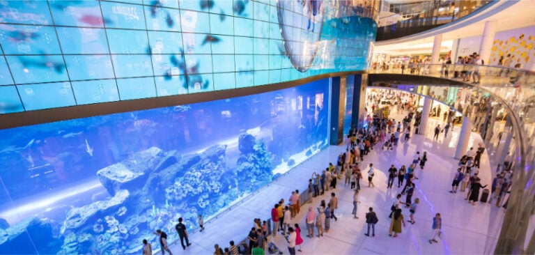 5 Giant Aquariums Around the World You Must See